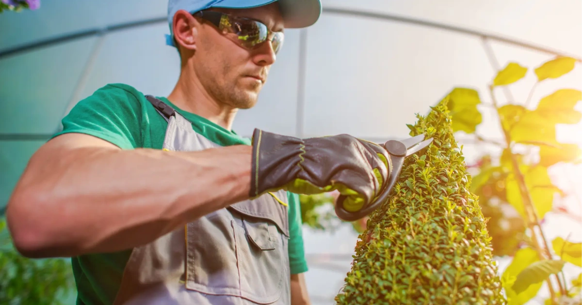 Landscaper Job Description: Key Duties, Skills & Requirements | ArboStar